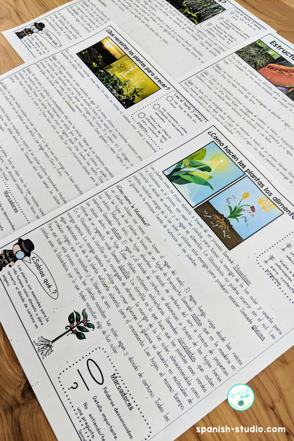 Top 10 Spanish Reading Comprehension strategies - Spanish Studio