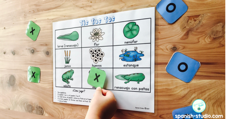 Life Cycle Learning: Hands-On Spanish Adventures