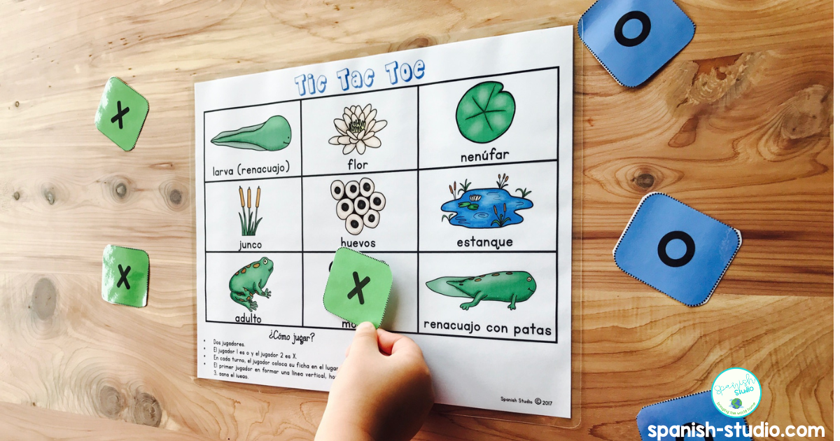 Life Cycle Learning: Hands-On Spanish Adventures
